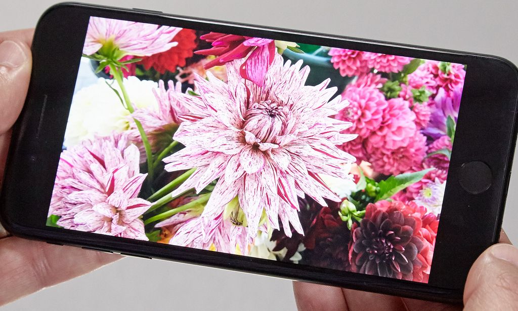 iPhone SE 2020 vs. iPhone 7: Should you upgrade? | Tom's Guide