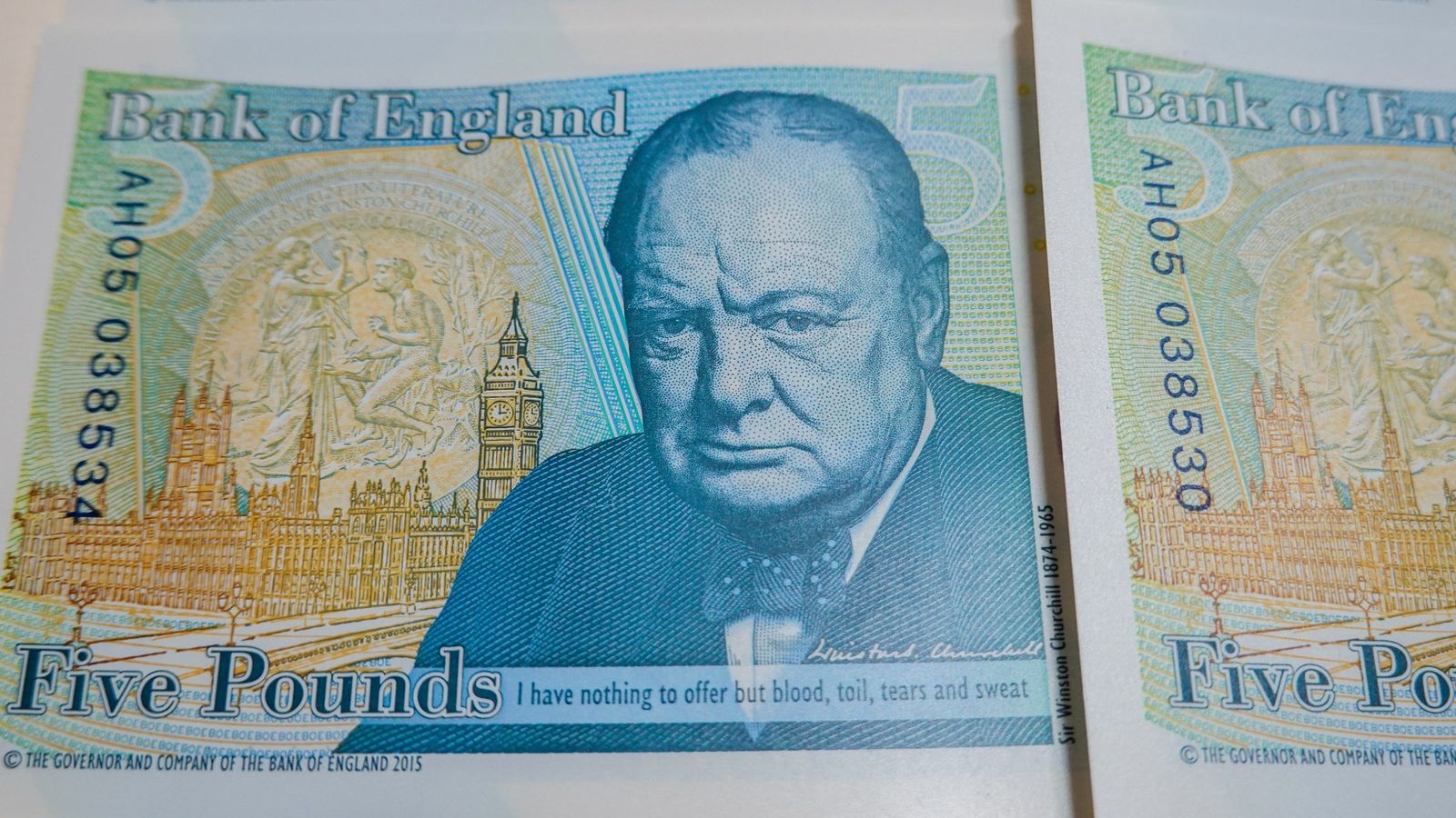 The row over wildlife on banknotes | The Week