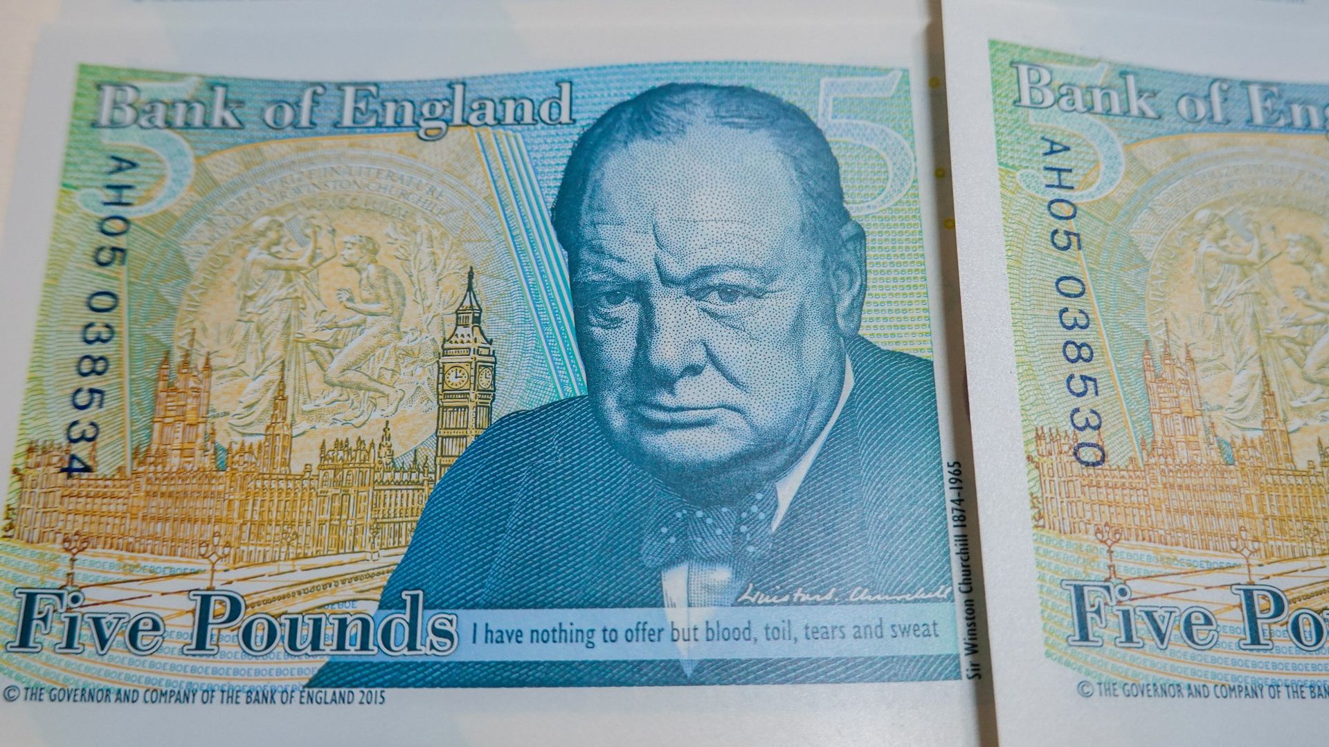 The row over wildlife on banknotes | The Week