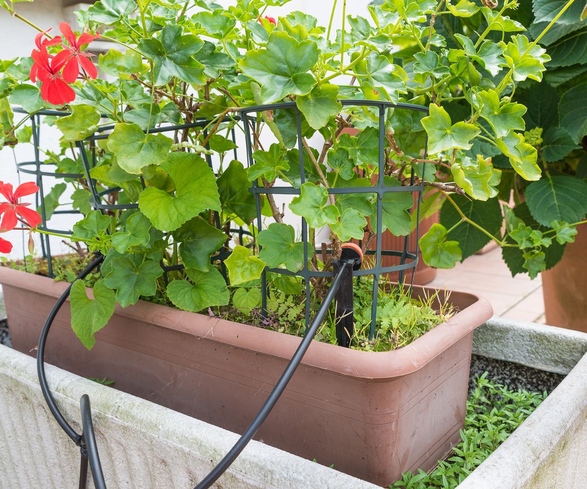 Garden irrigation: What is it and is it right for you? | Homebuilding