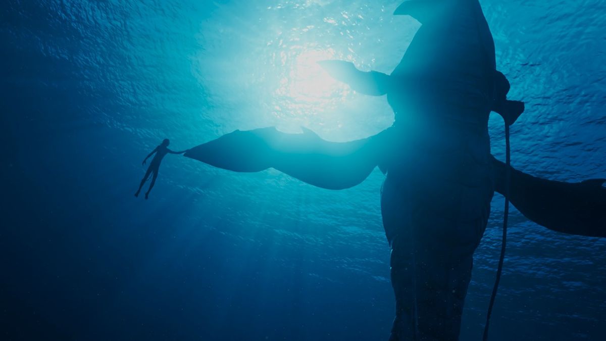 The creatures of Avatar & Avatar: The Way of Water | Space