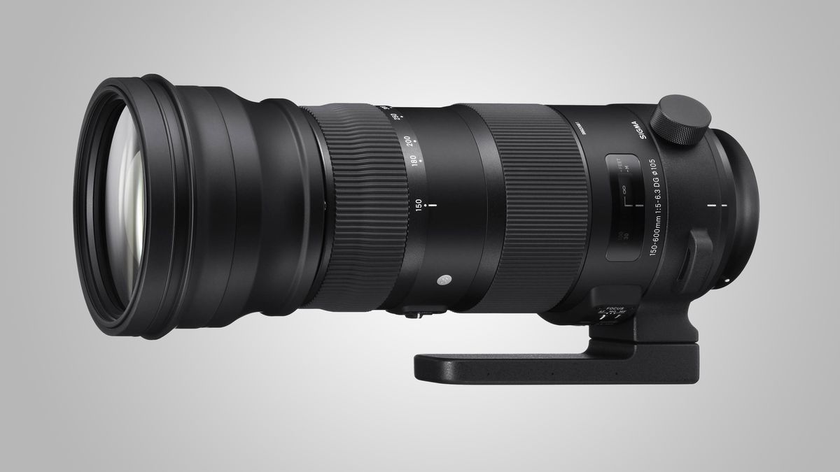 Best super telephoto zoom lenses: great lenses to get closer to the ...