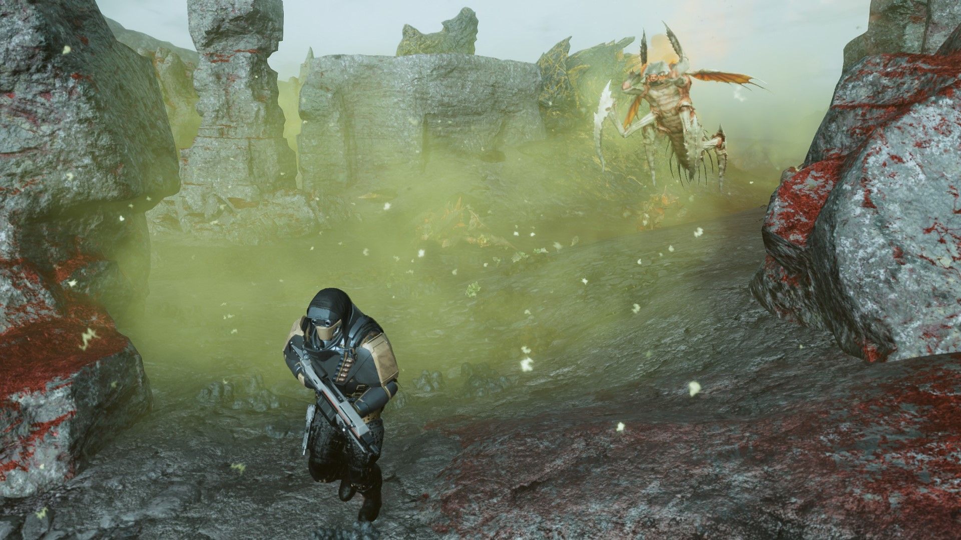 How to find and kill Hunters in Helldivers 2 | PC Gamer