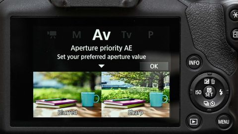 Canon EOS R100 review | Tom's Guide