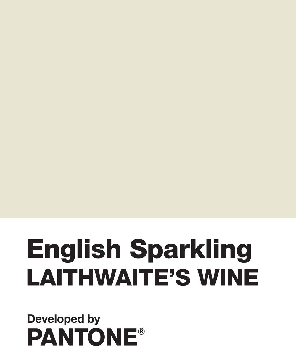 Pantone launches a new English Sparkling Wine paint colour | Ideal Home