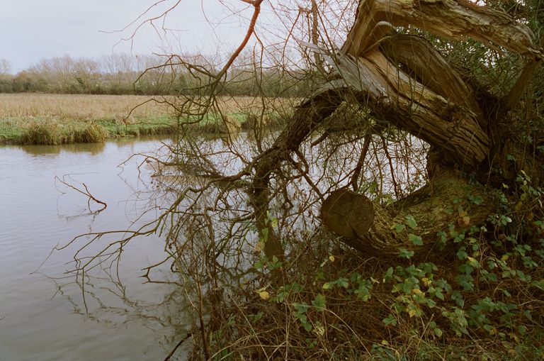 Stuart Franklin's adventures in CineStill | Wallpaper*