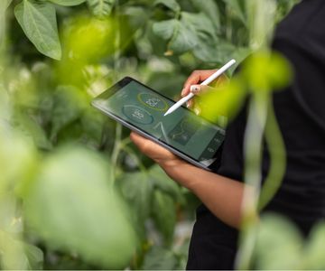 AI in gardening: How we use artificial intelligence in yards | Homes ...