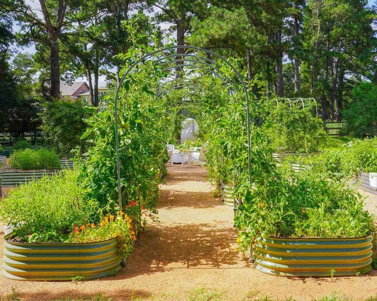 14 Vegetable Trellis Ideas To Maximize Your Garden Harvest | Gardening ...