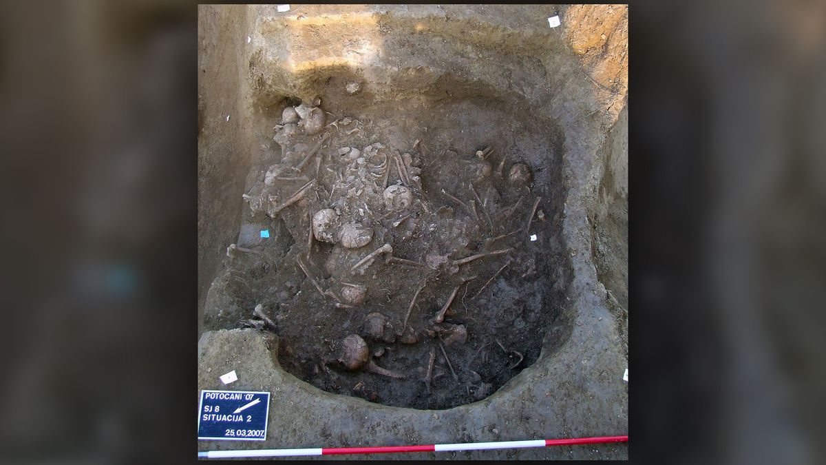 Why were dozens of people butchered 6,200 years ago and buried in a ...
