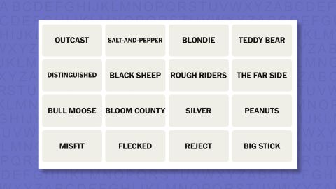 NYT Connections hints and answers for Sunday, February 22 (game #987 ...