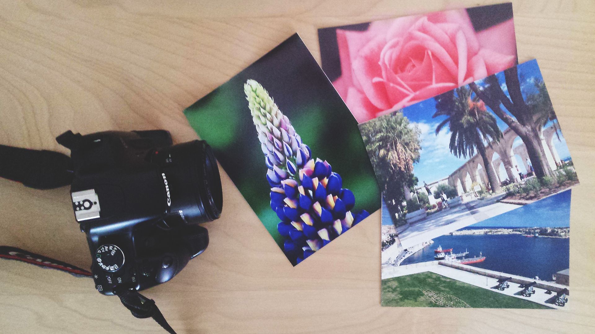 Tesco Photo review | Digital Camera World