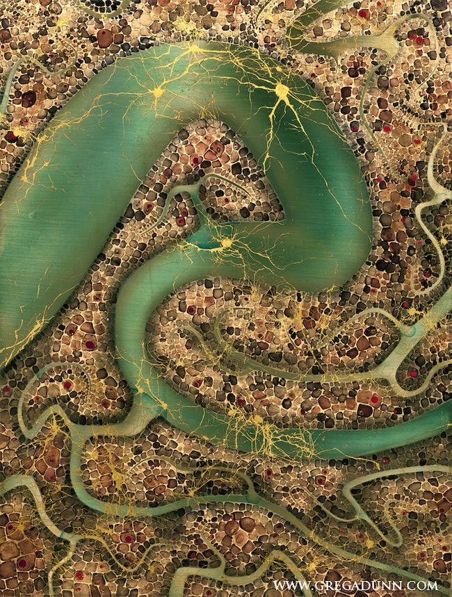 Dazzling Images of the Brain Created by Neuroscientist-Artist | Live ...