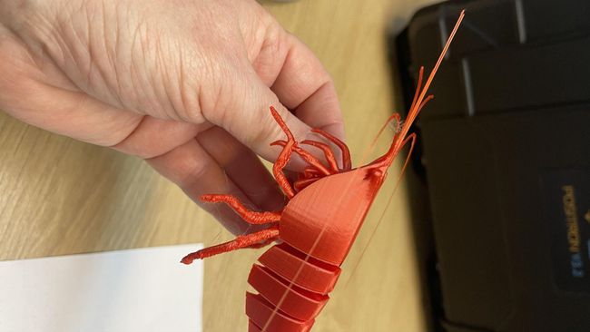 LDO Positron v3.2 3D Printer Kit Review: Build Your Own Portable ...