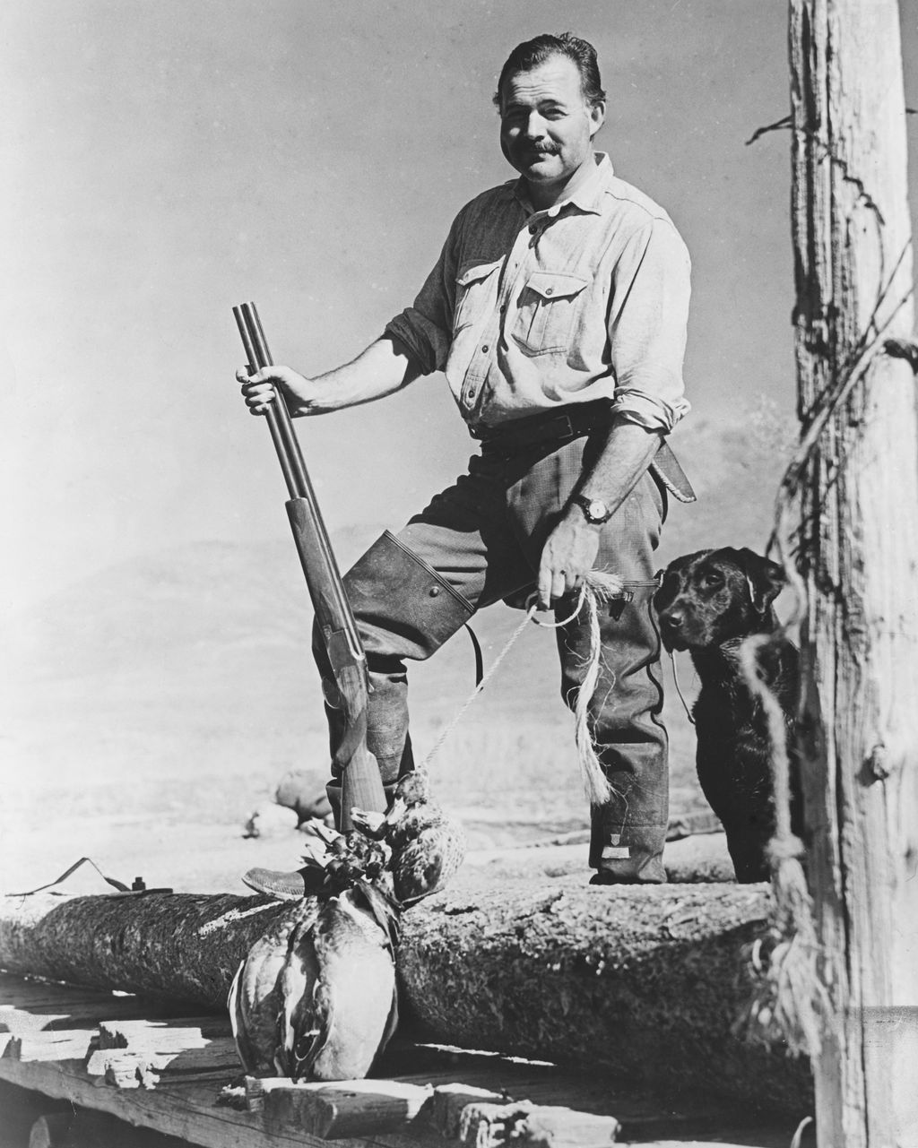 The history of the labrador | Country Life