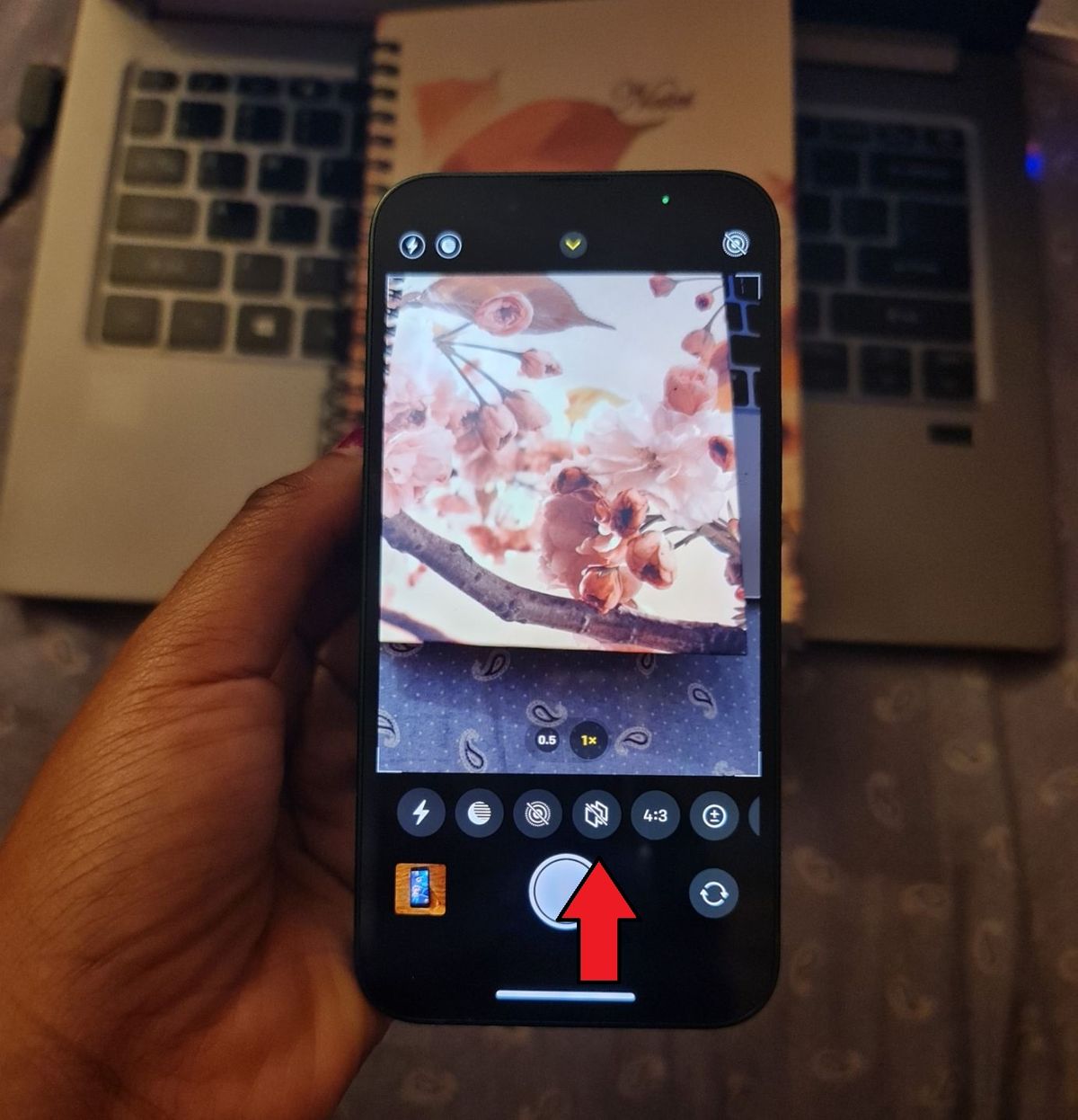 Photographic Styles: How to use it on the iPhone 13 and iPhone SE 2022 ...