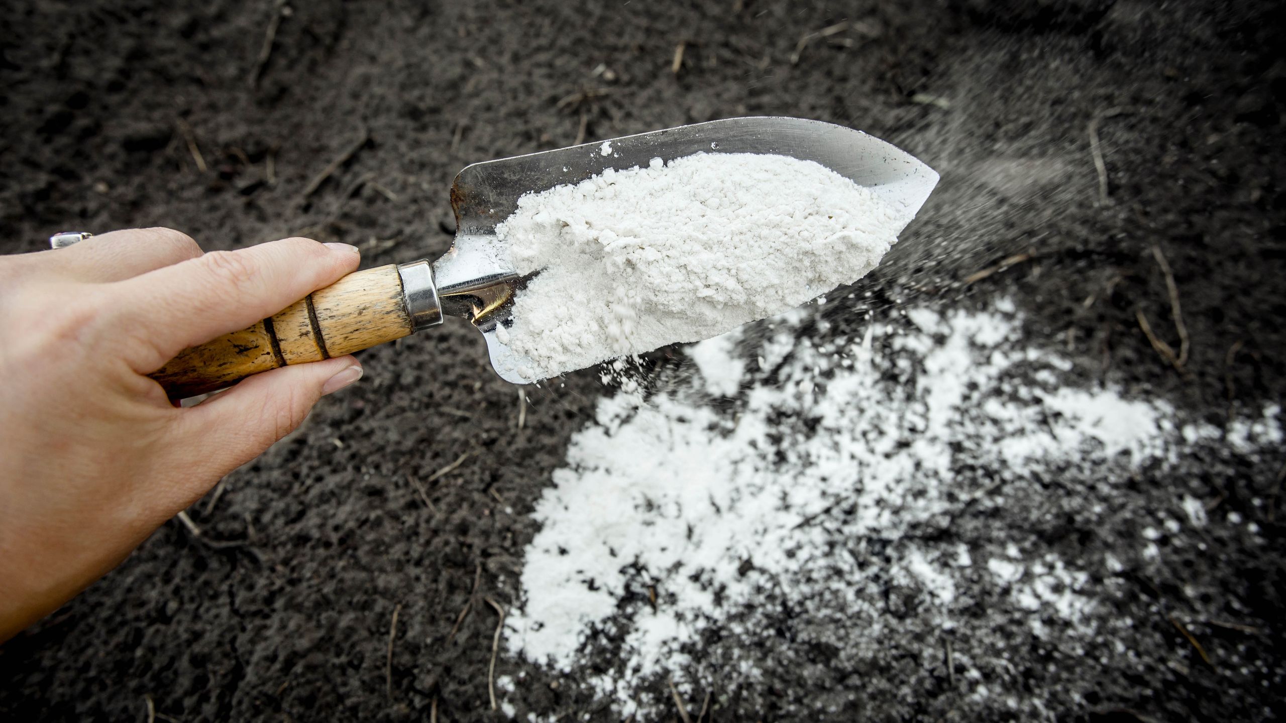 7 ways to add calcium to your soil for healthier plants | Tom's Guide