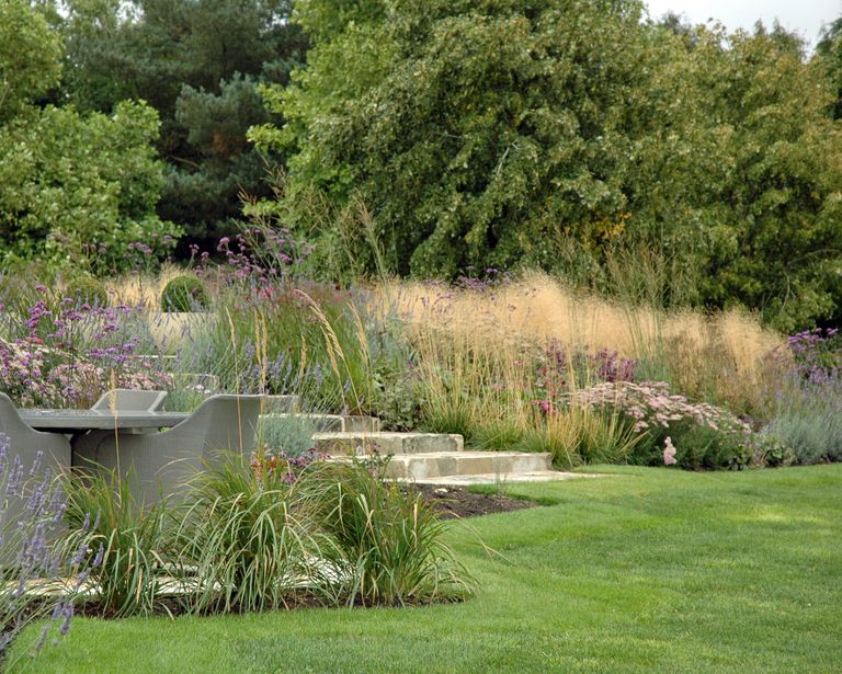 Naturalistic planting design: plants to use and design ideas | Country