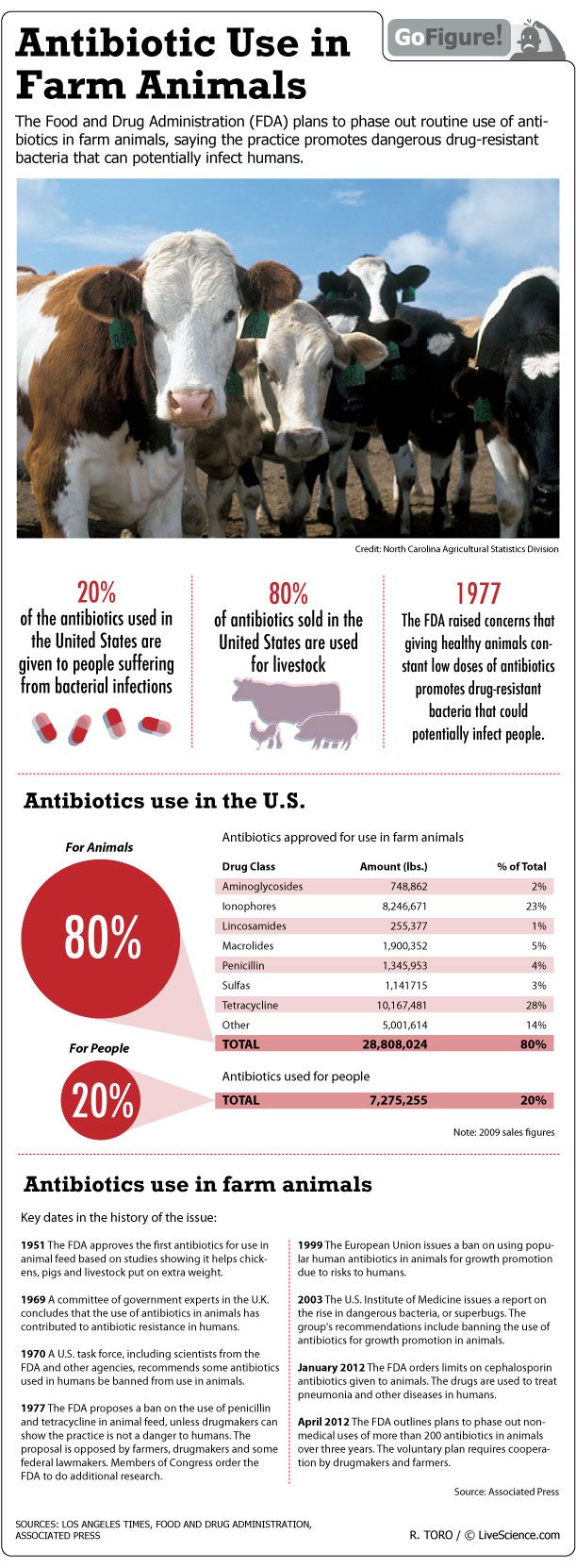 Farm Animals Fed Antibiotics (Infographic) | Live Science