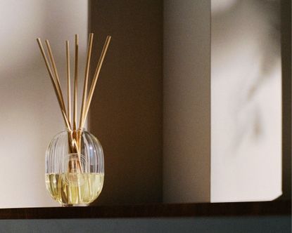 The Homes & Gardens guide to the best reed diffusers | Homes and Gardens