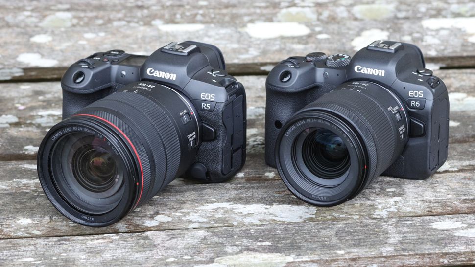Canon EOS R5 vs R6: What are the differences and which is best for you ...