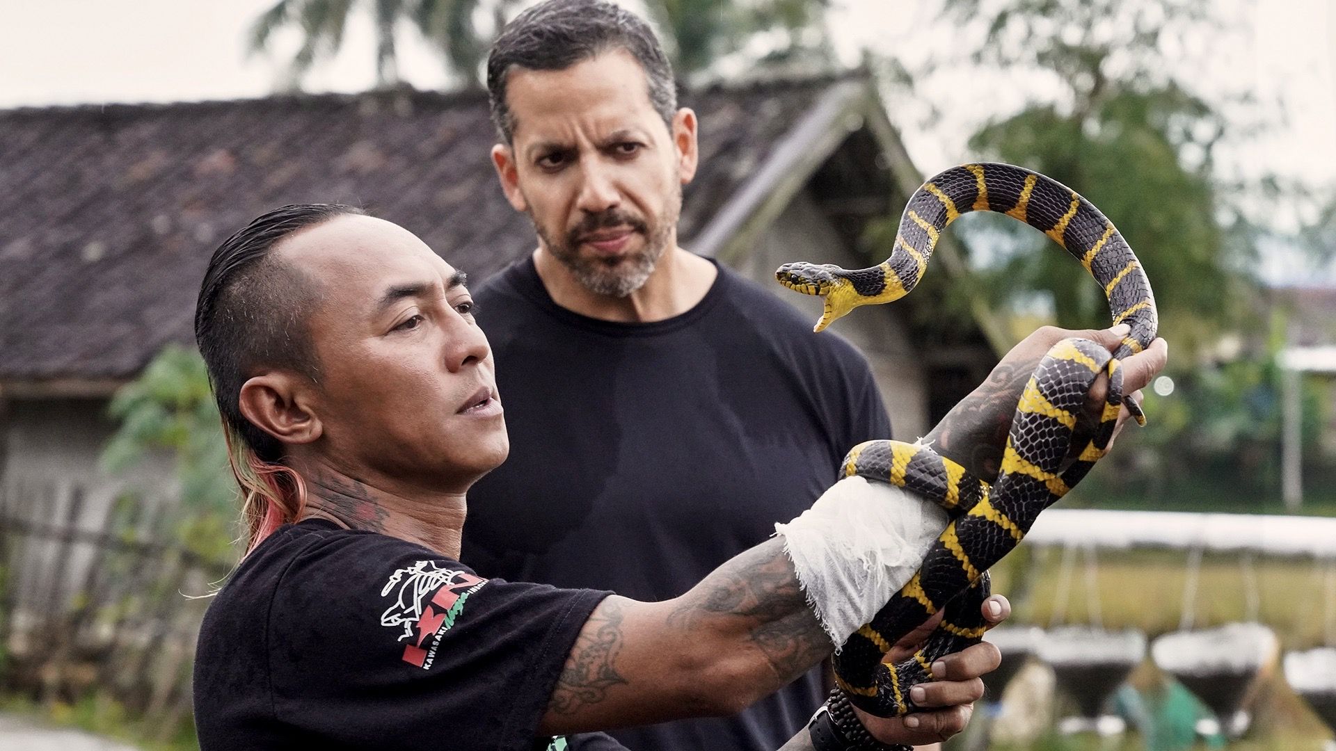 David Blaine Do Not Attempt: release date and everything we know | What ...
