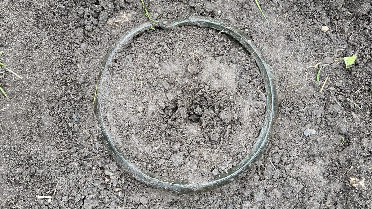 Ritually bent Bronze Age sword unearthed in Danish bog is 'very rare ...