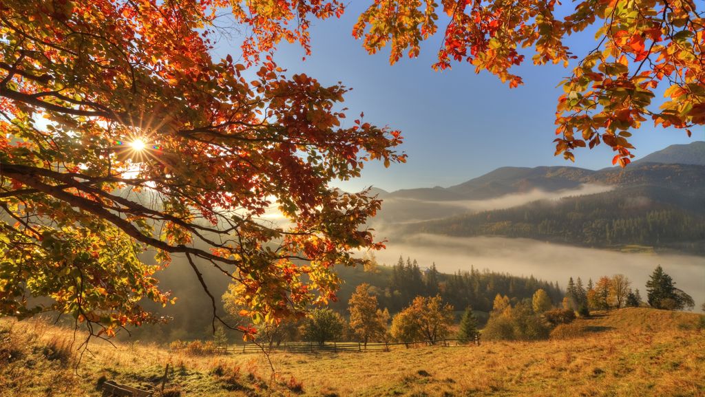 September is here — but when does fall begin? Everything to know about ...