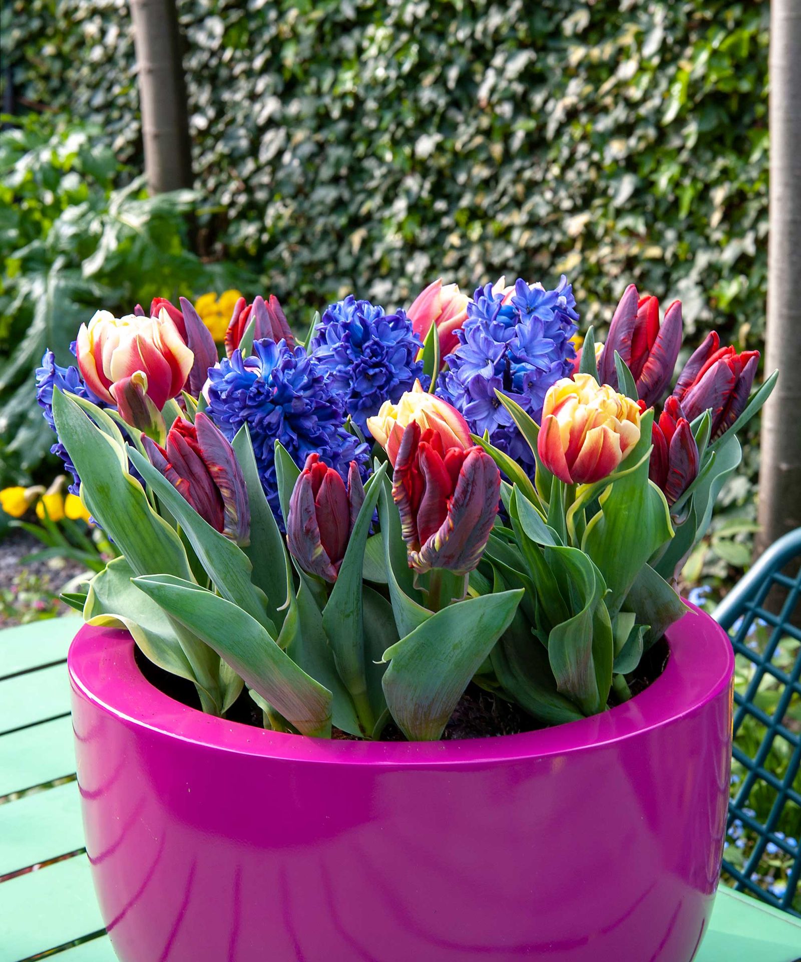 Bulb lasagne ideas and combinations to try: 10 looks for eye-catching ...