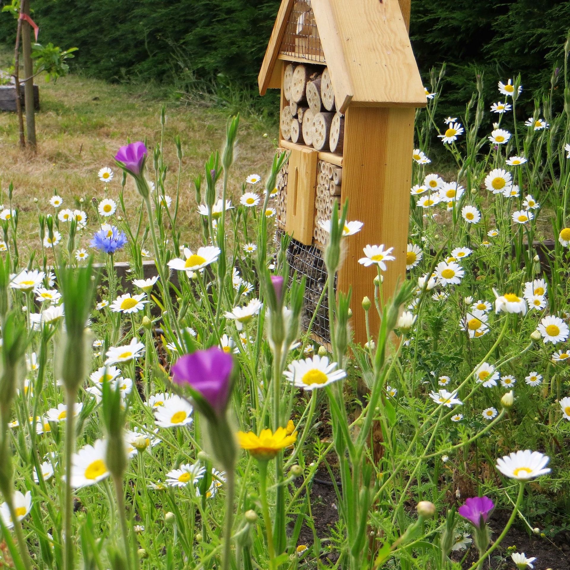 How to create a feel-good garden to brighten up everyday | Ideal Home