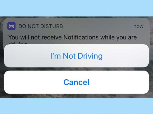 25 Essential iPhone 8 Tips and Tricks | Tom's Guide