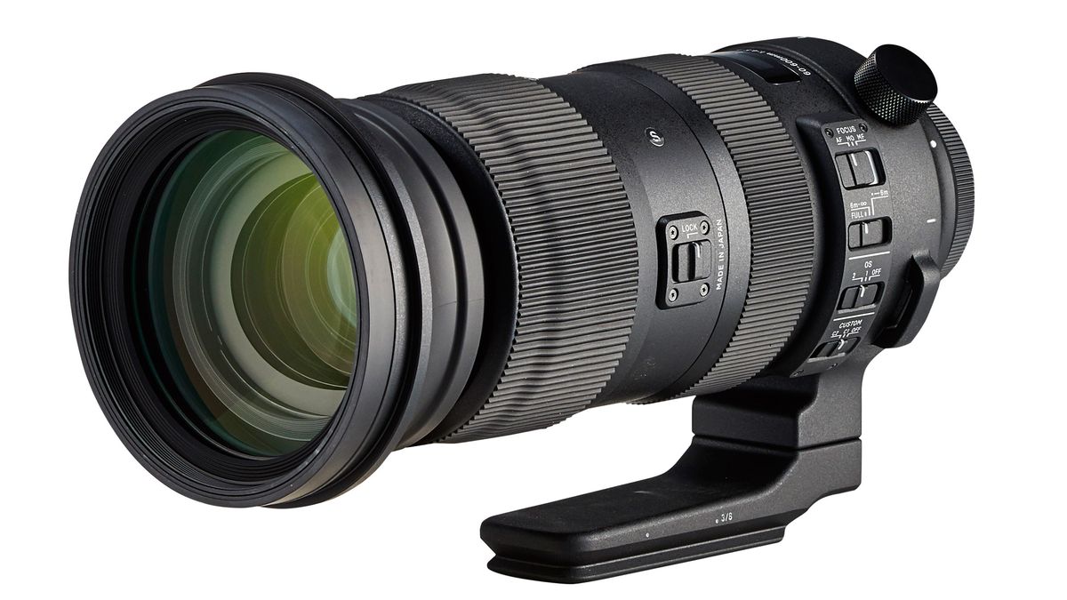 How to photograph puffins | Digital Camera World