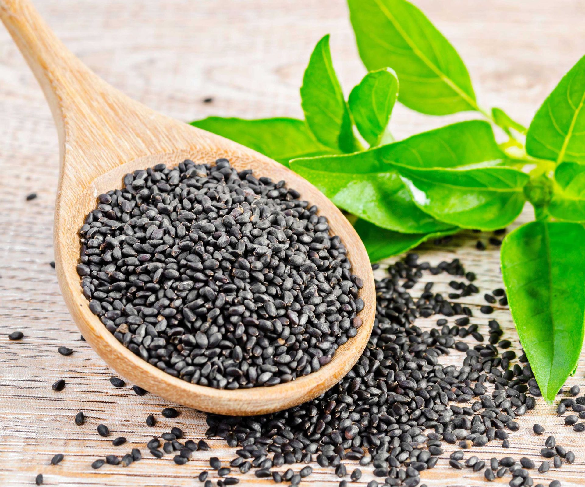 How to save basil seeds: to grow new herbs for free | Homes and Gardens