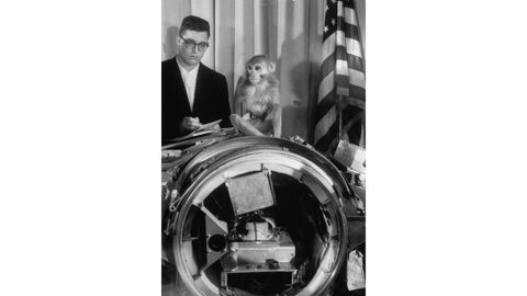 Able and Baker: The First Primates to Survive Spaceflight in Photos | Space