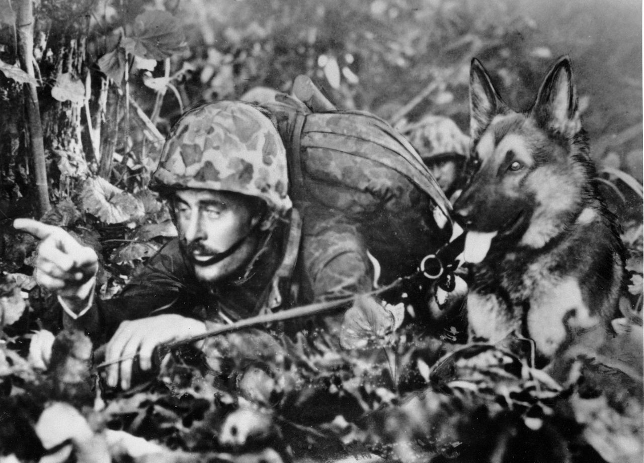 The dogs of war | The Week