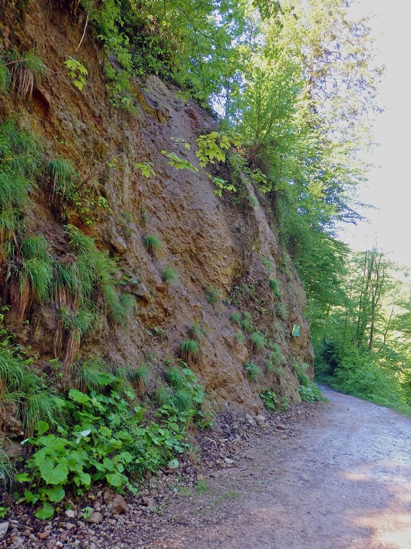 In Photos: The Wonders of the Deep Sea | Live Science