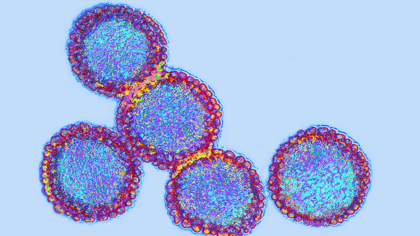 How long is the flu contagious? | Live Science