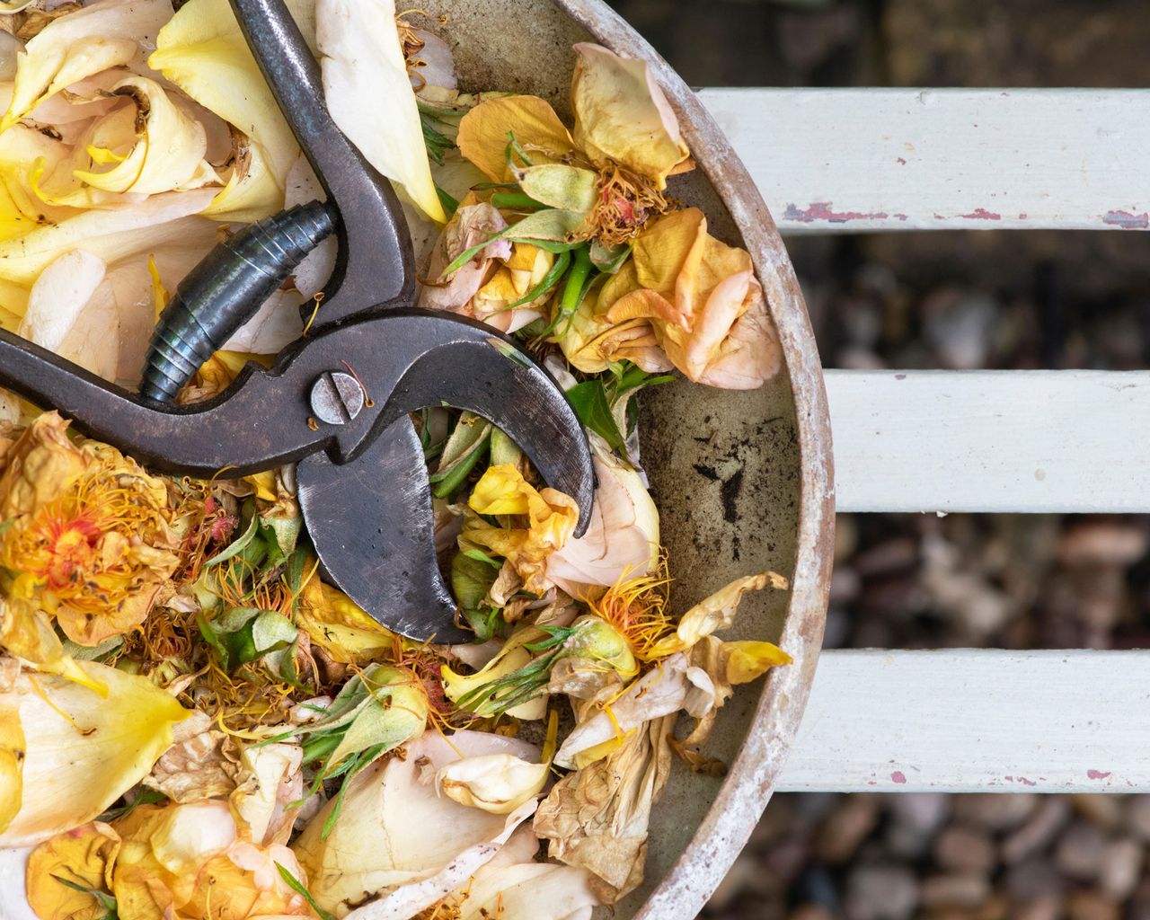 How to clean pruning shears: keep them in top condition | Gardeningetc