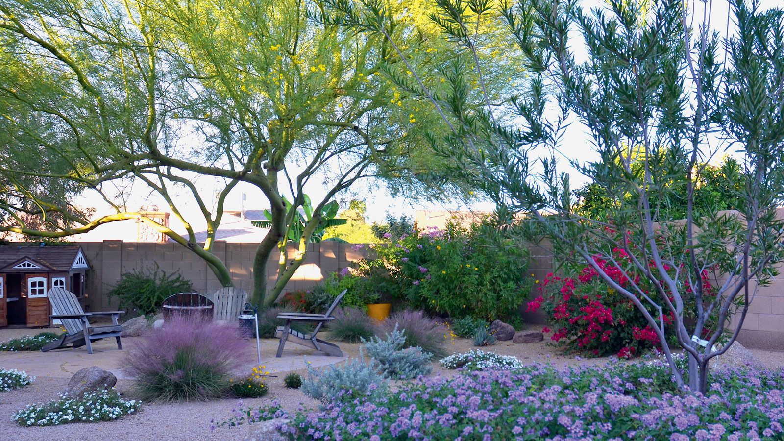 Xeriscaping: how to use this landscaping method in your yard