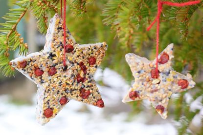 How to make fat balls for birds in 4 easy steps | Homes and Gardens