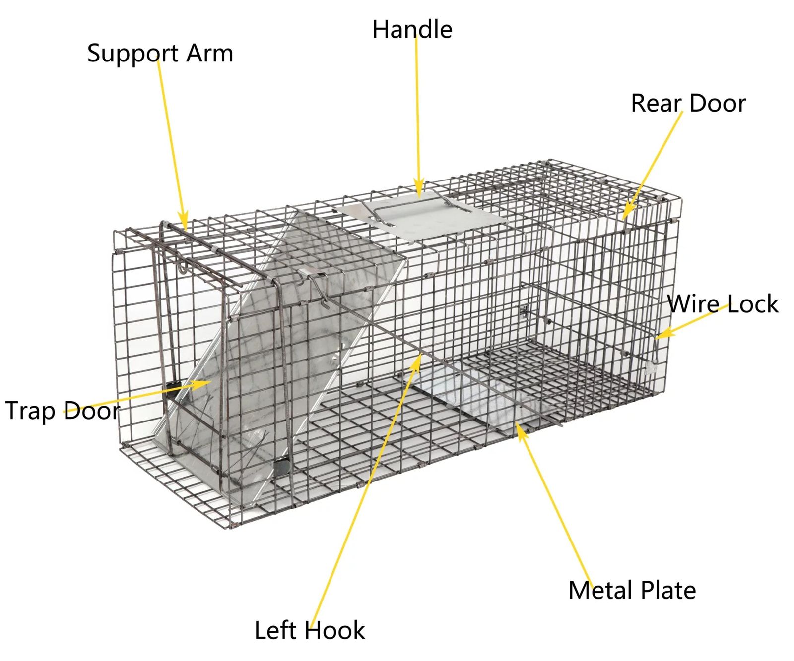 How to get rid of rodents in the attic | Homes and Gardens
