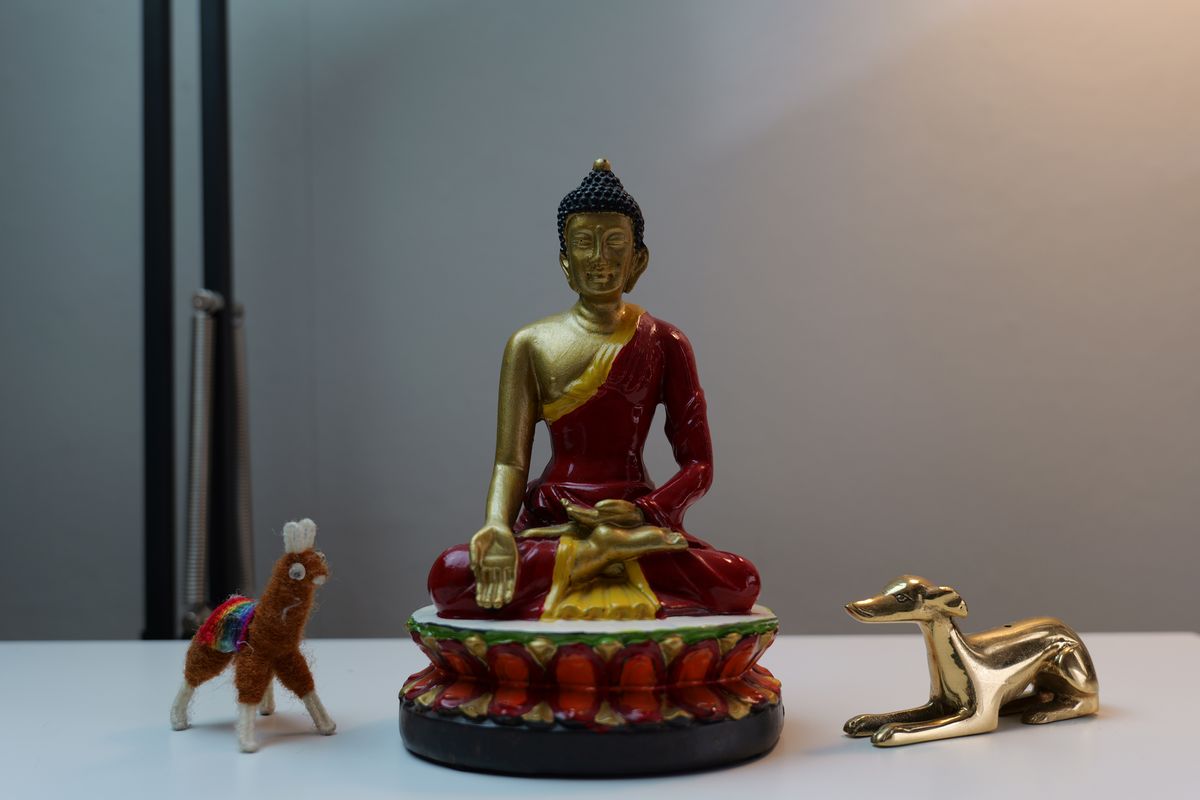 Panasonic LUMIX S5IIX review | Tom's Guide