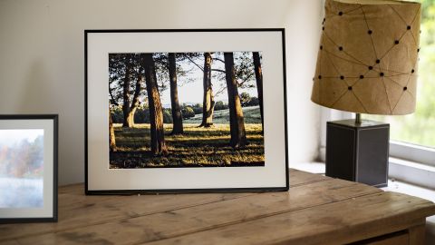 The best digital photo frame 2024: for any budget | TechRadar