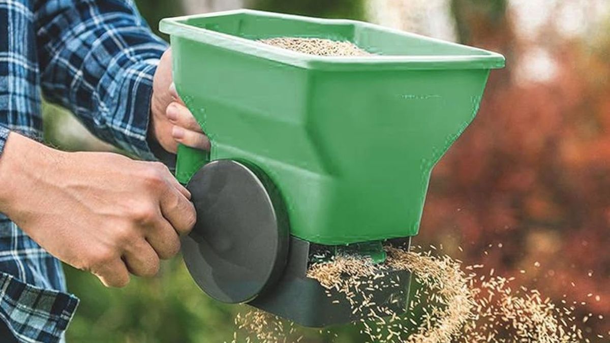 Are seed spreaders worth it? 6 pros and cons from the experts | Top Ten ...