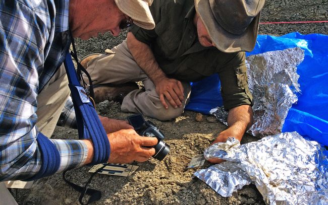 Photos: Cretaceous 'Graveyard' Holds a Snapshot of the Dino-Killing ...