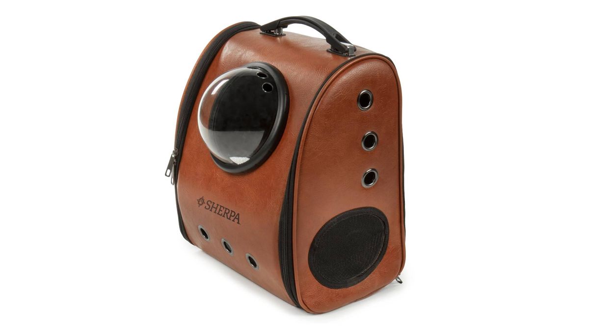 Best cat backpacks: Carry your cat in comfort and style | PetsRadar