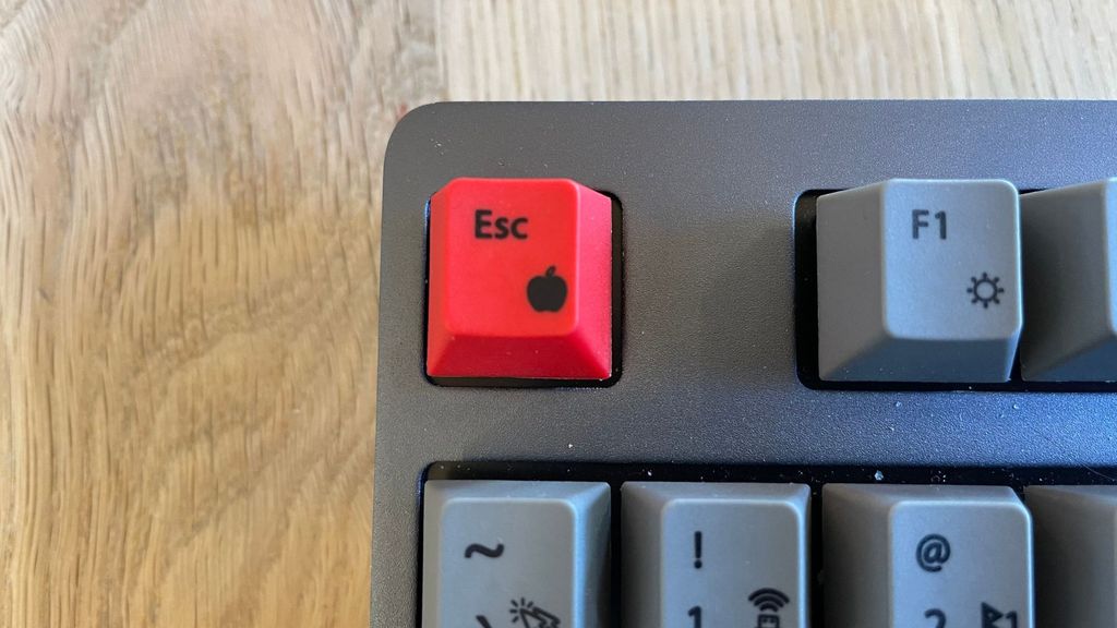 Wombat Pine Professional mechanical keyboard review: Custom feel with ...