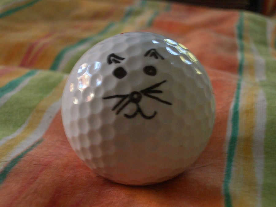 Sharpie ball marker golf competition: Cat | Golf Monthly
