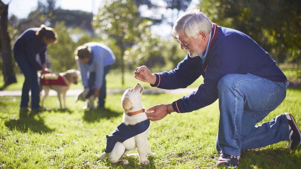 32 differences between a puppy and a dog | PetsRadar