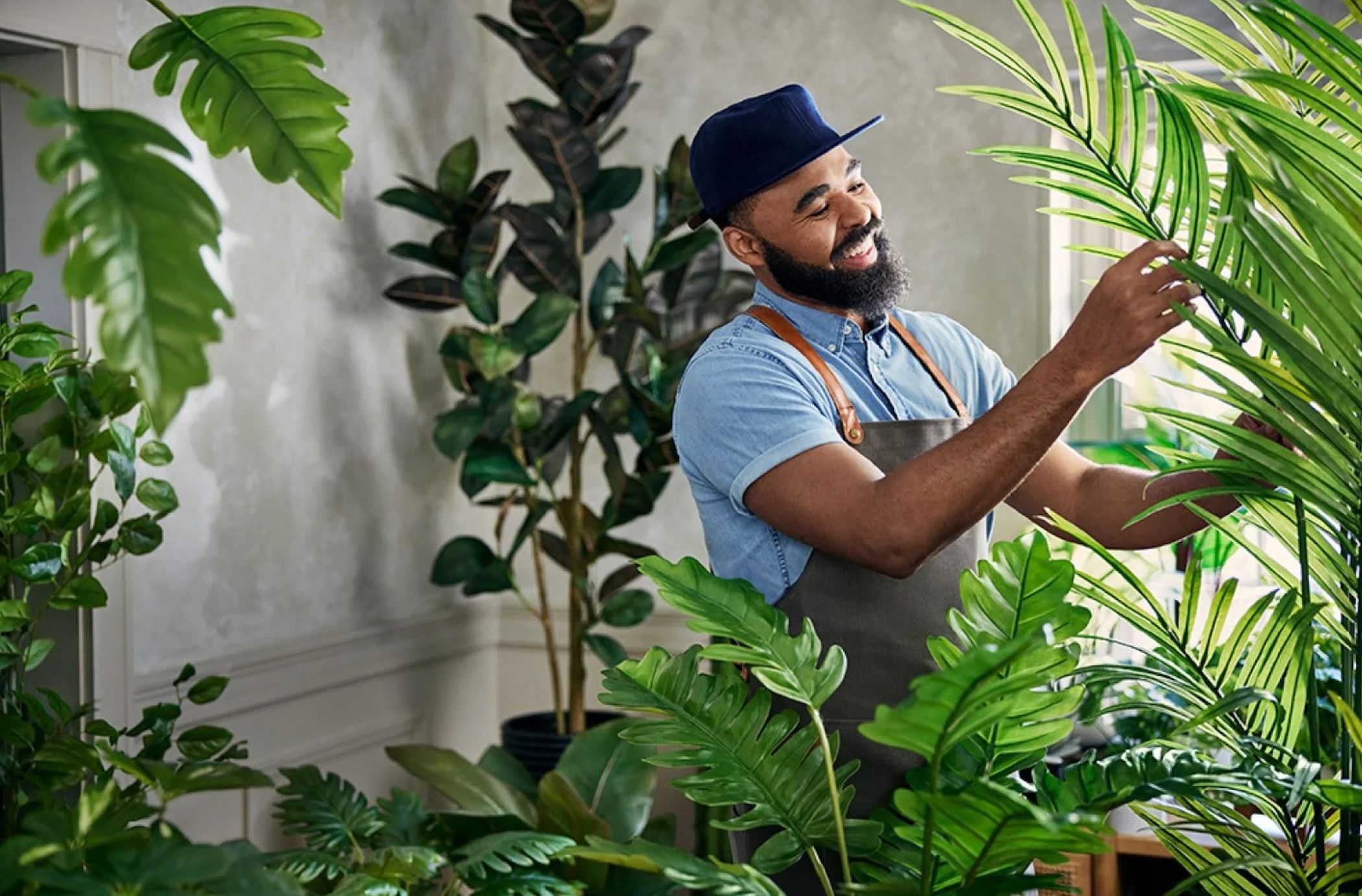 Hilton Carter x Target collection brings greenhouses indoors | Homes ...