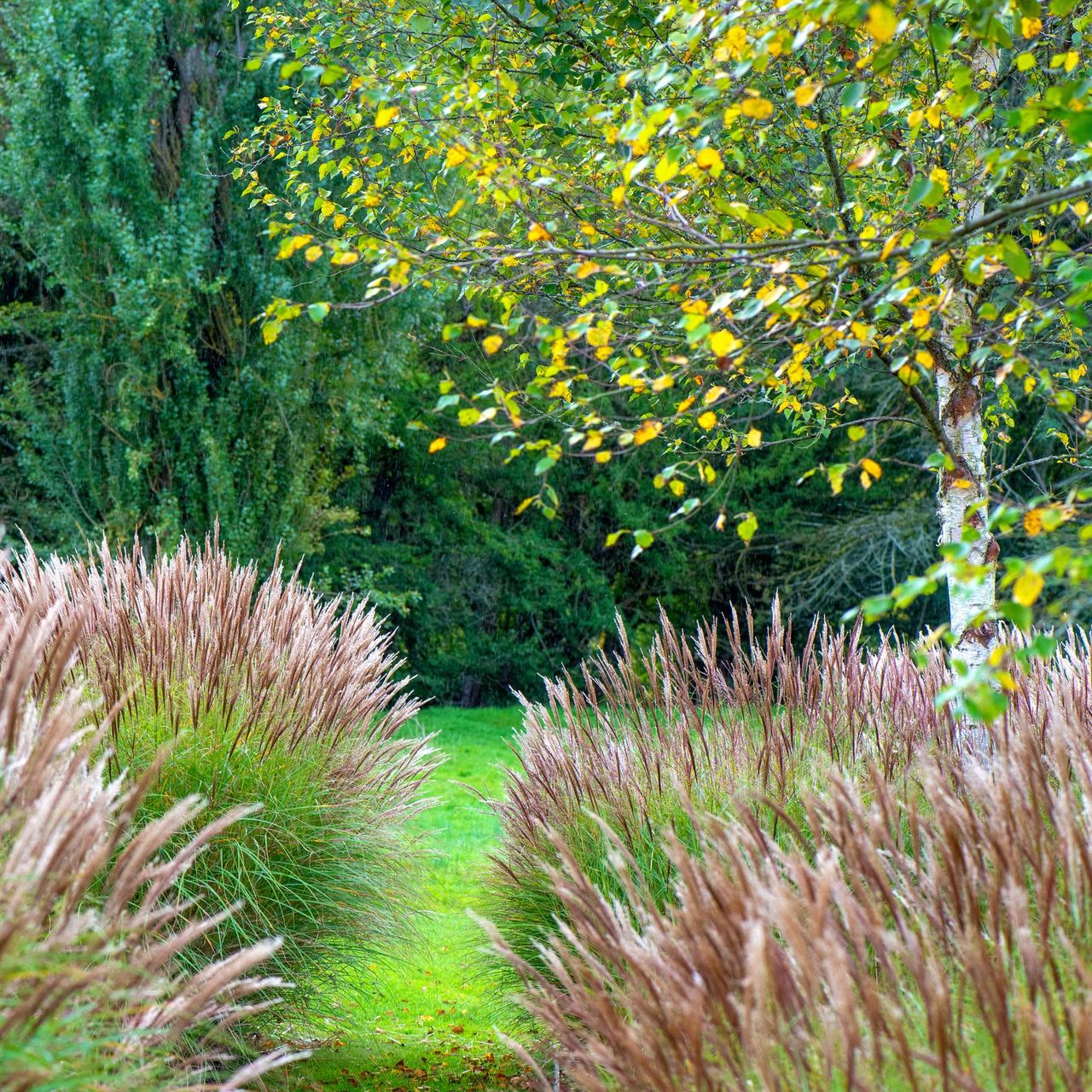 9 Scandi garden design ideas that you will want to steal | Ideal Home